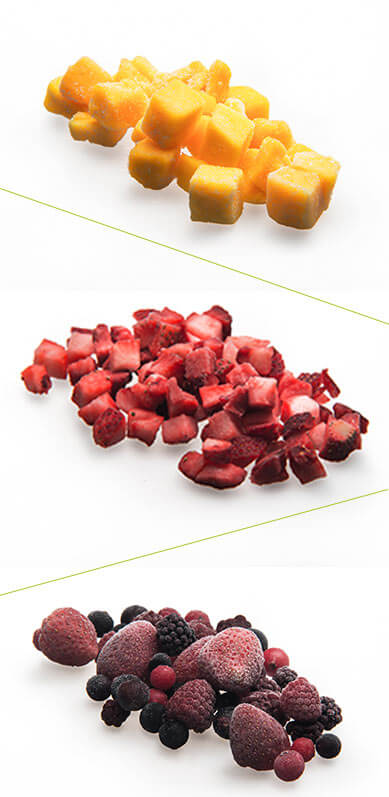 Dirafrost - Frozen & Chilled - Our Brands – BrandActiv Mauritius